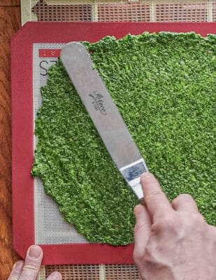 Wild Ramp Salt (Recipe) - Forager | Chef