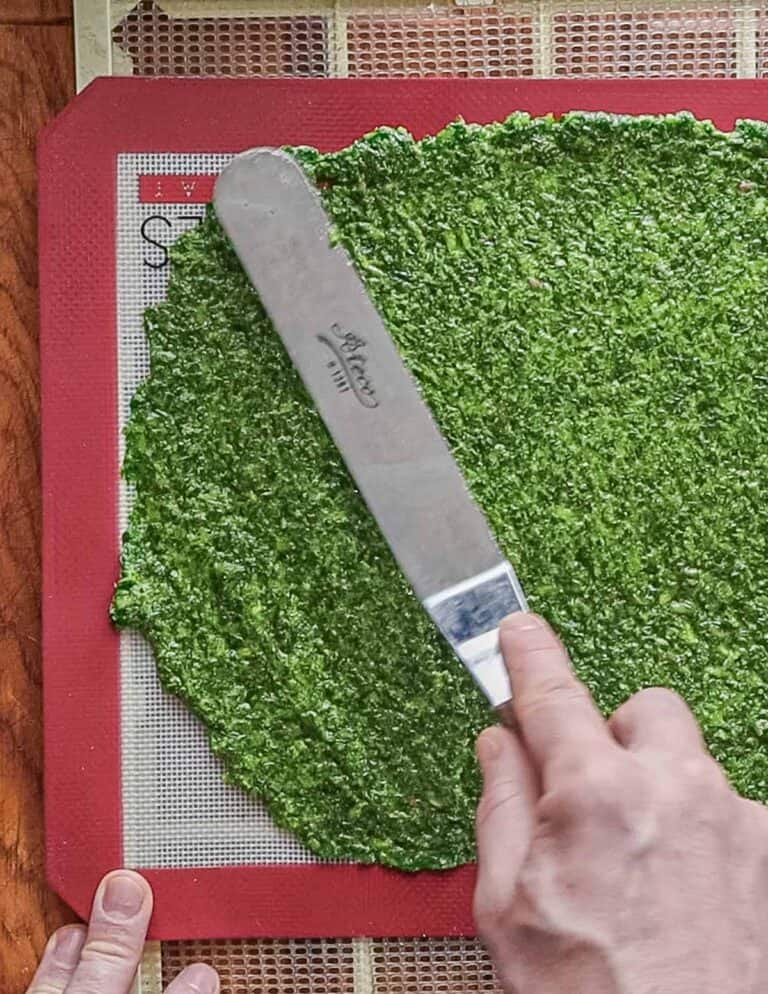 Wild Ramp Salt (Recipe) - Forager | Chef