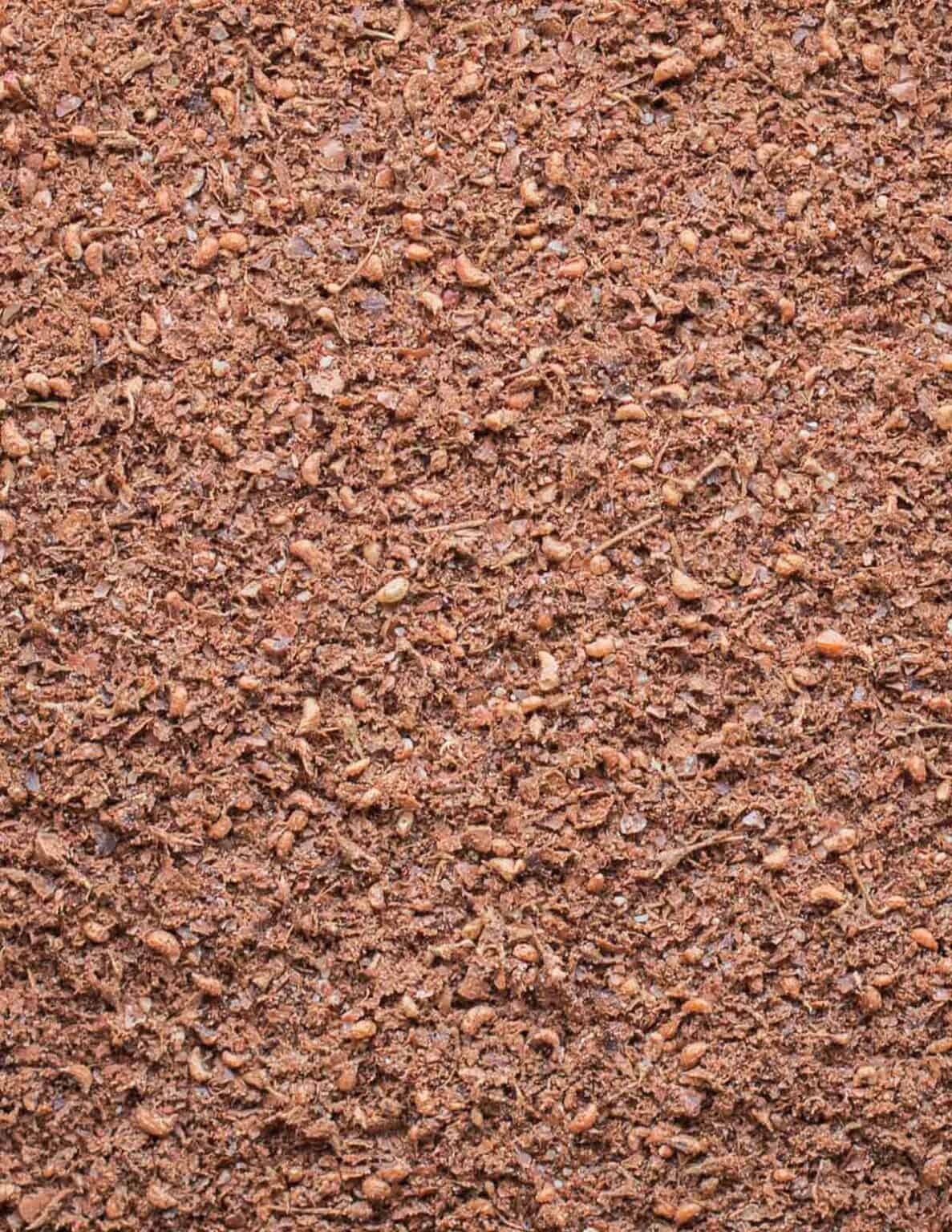 How to Cook with Dock Seed Flour - Forager | Chef