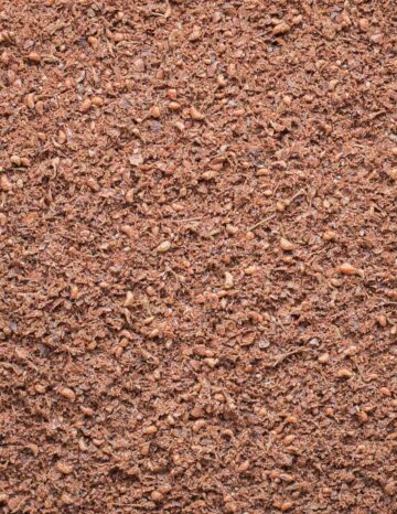 How to Cook with Dock Seed Flour - Forager | Chef