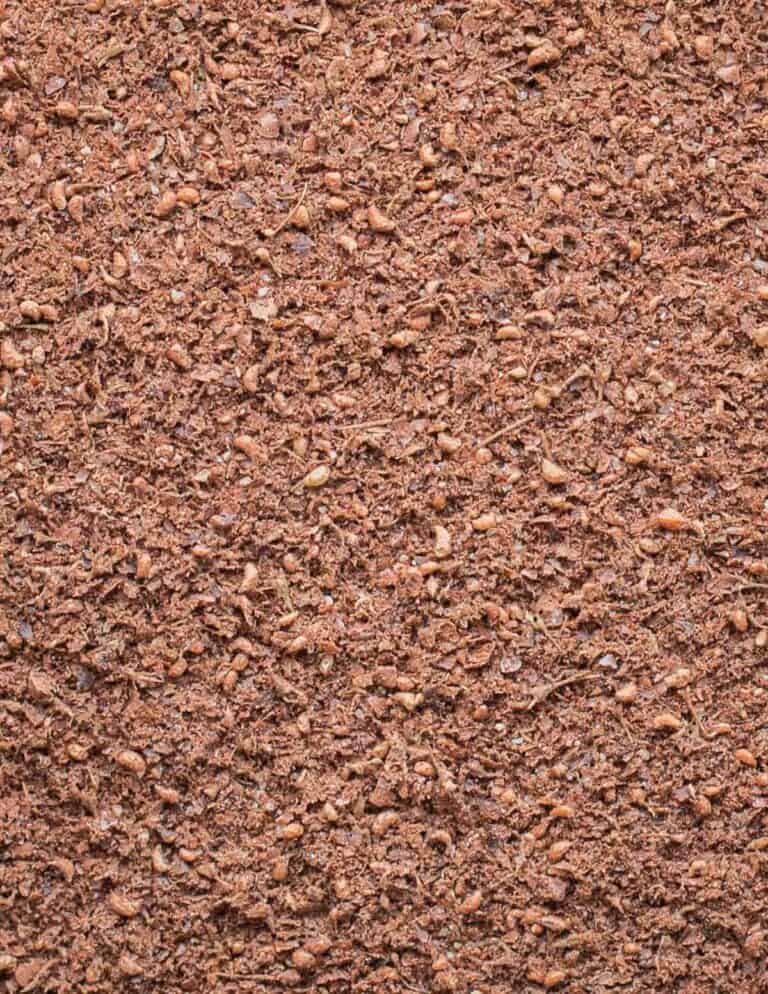 How to Cook with Dock Seed Flour - Forager | Chef