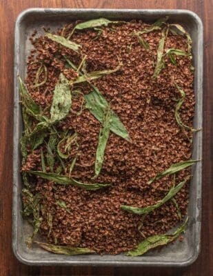 How to Cook with Dock Seed Flour - Forager | Chef