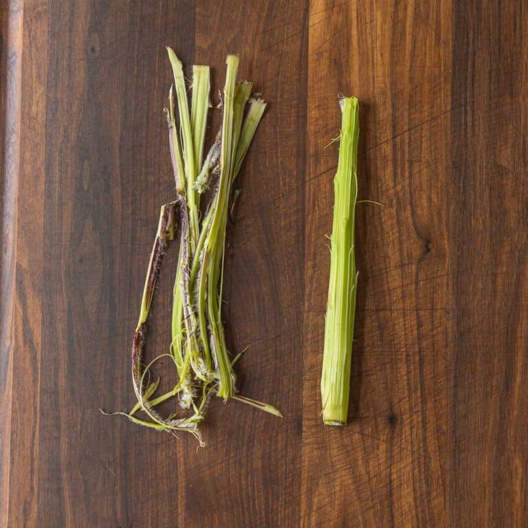 Foraging and Cooking Edible Thistles - Forager | Chef