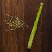 Foraging and Cooking Edible Thistles - Forager | Chef