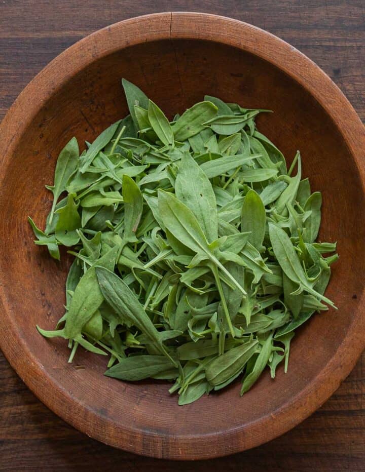 Foraging and Cooking with Sheep Sorrel (Sour Grass)