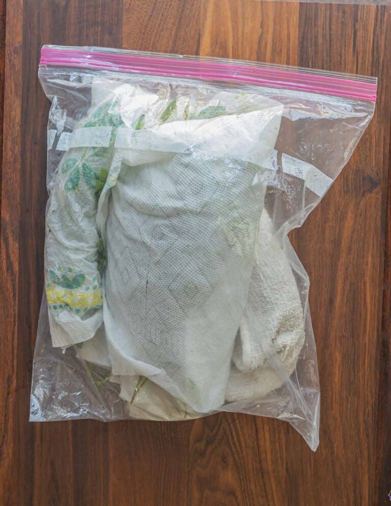 Foraging and Cooking with Sheep Sorrel (Sour Grass)