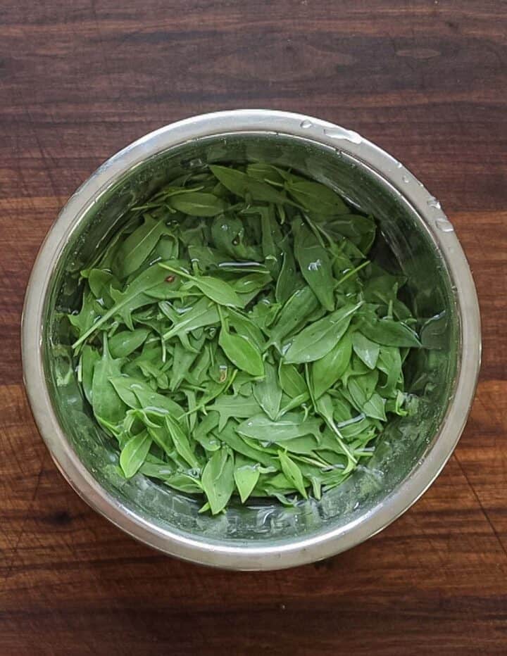 Foraging and Cooking with Sheep Sorrel (Sour Grass)