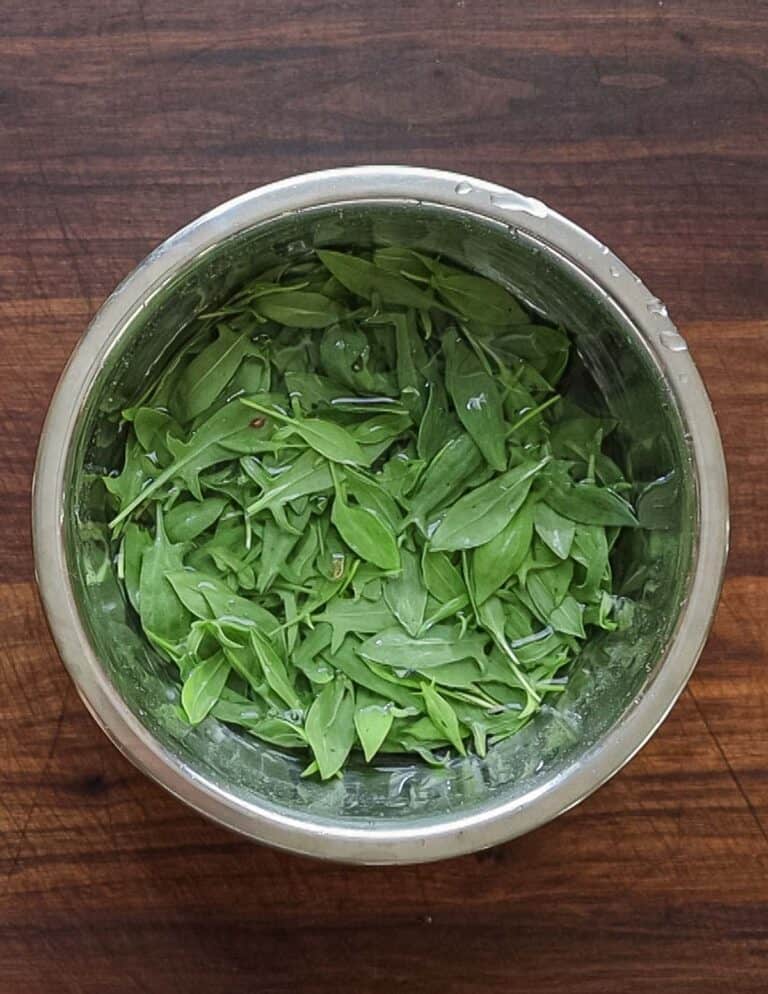 Sheep Sorrel