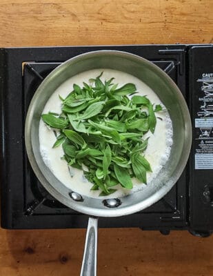 Classic French Sorrel Sauce