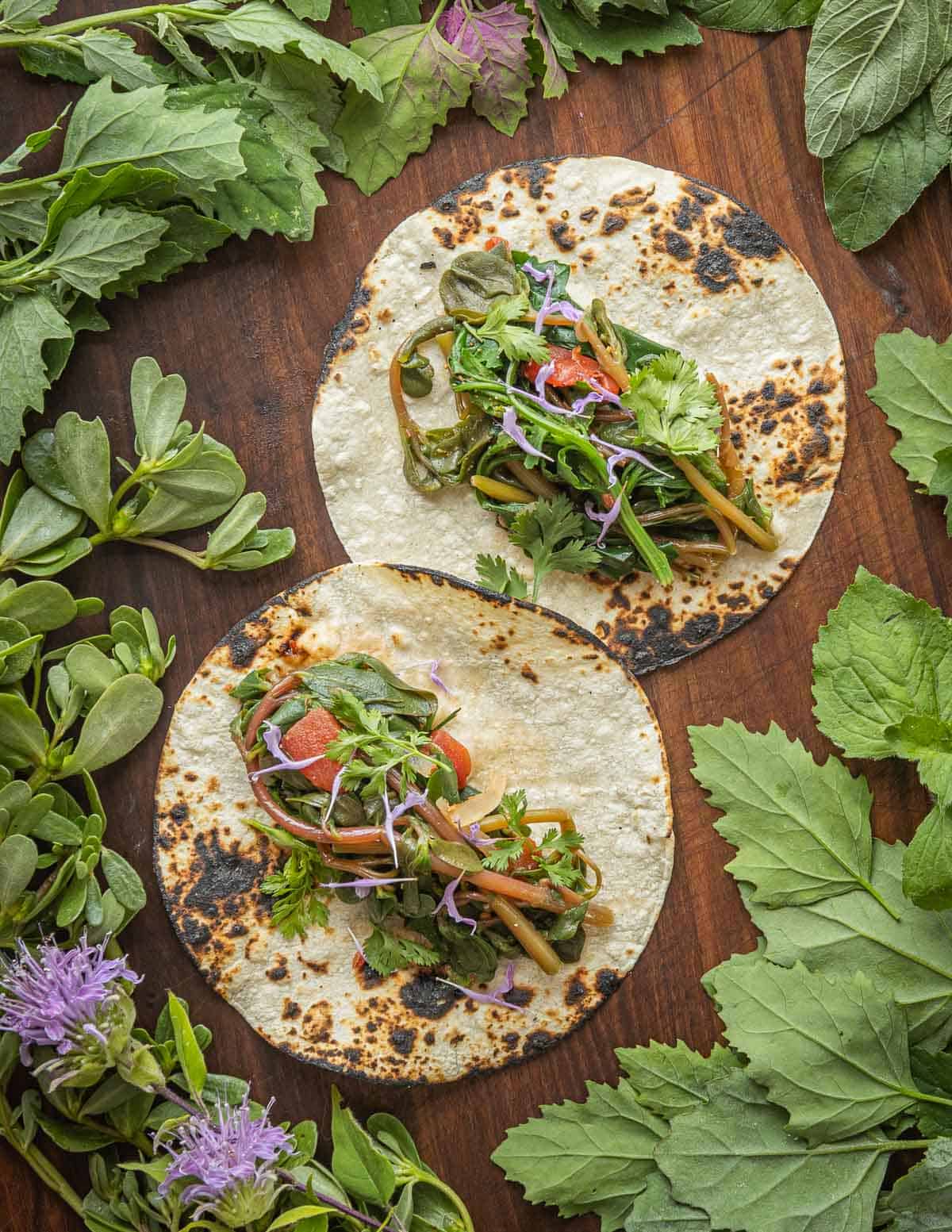 Quelites: The Edible Wild Greens of Mexico