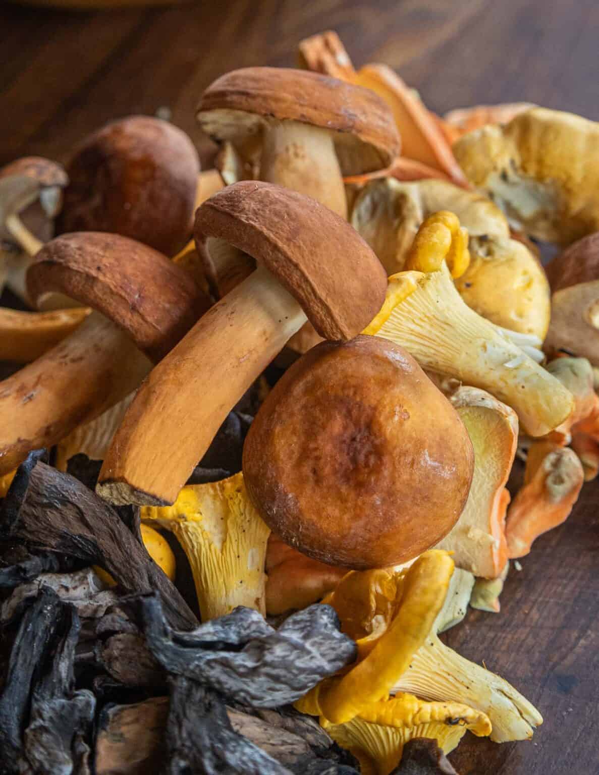 Chicken Forestière - Forager | Chef