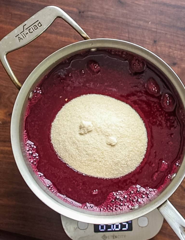 Classic Chokecherry Syrup - Forager | Chef