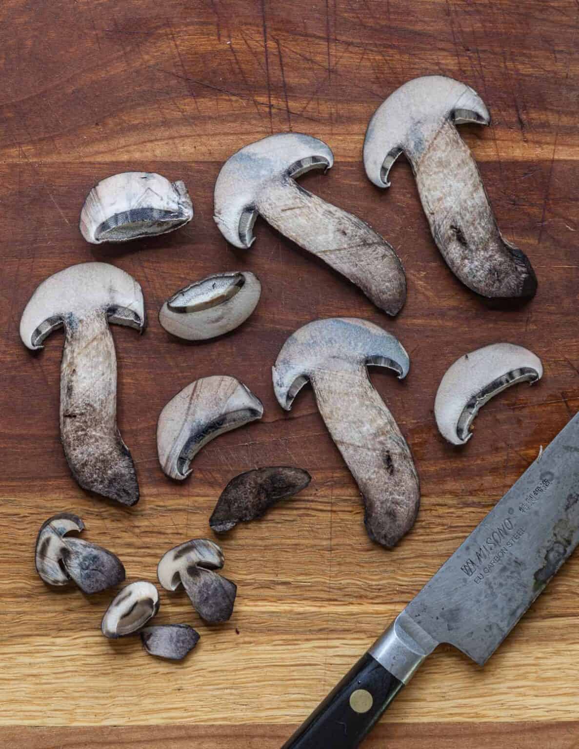Black Velvet Boletes (Tylopilus alboater) (Tylopilus alboater ...