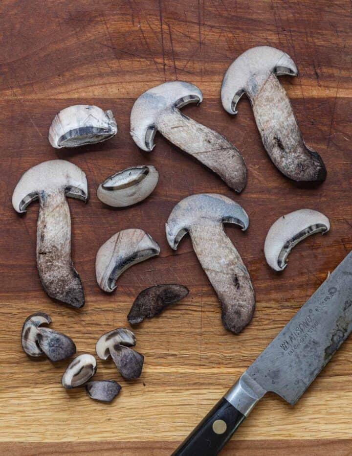 Black Velvet Boletes (Tylopilus alboater) (Tylopilus alboater ...