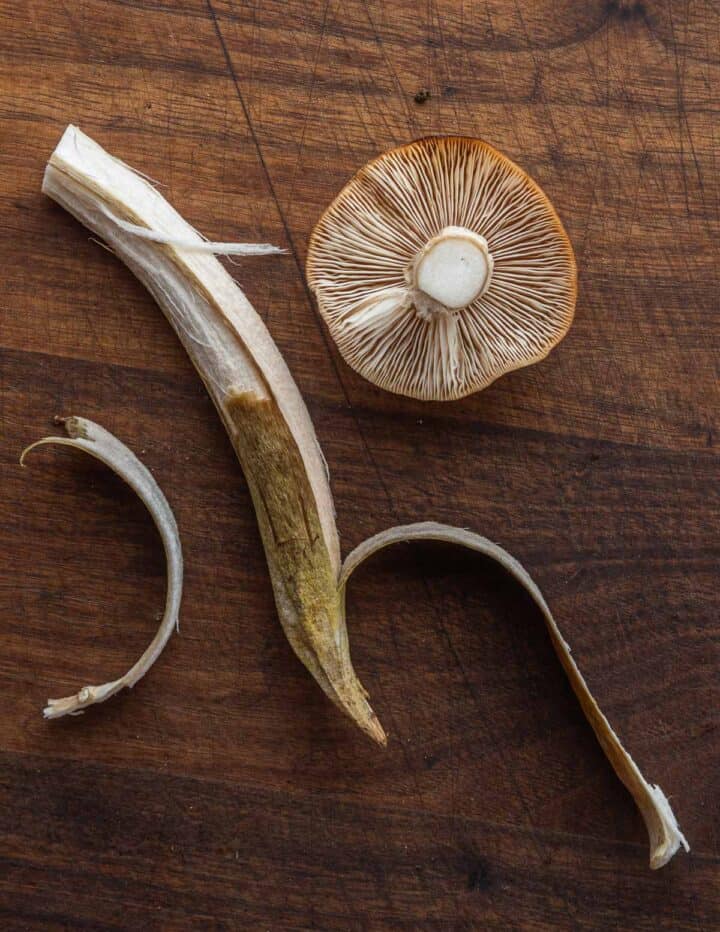 Sauteed honey mushrooms and their stems recipe