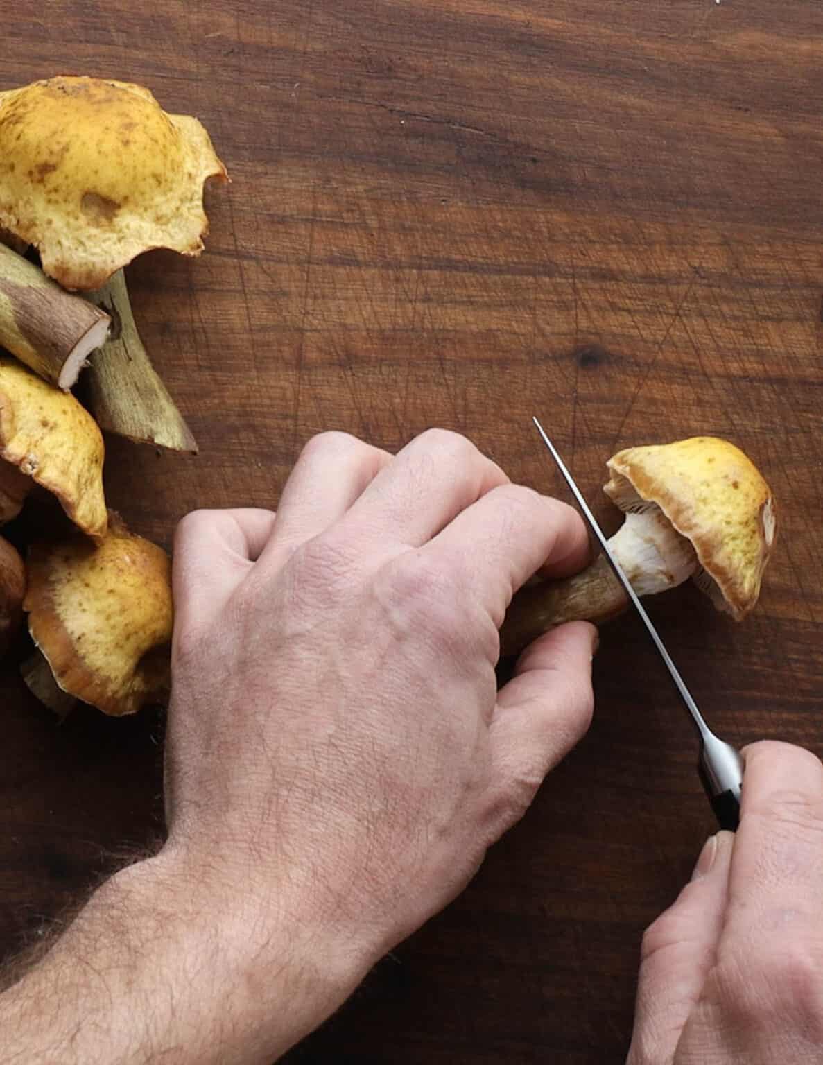 Sauteed honey mushrooms and their stems recipe