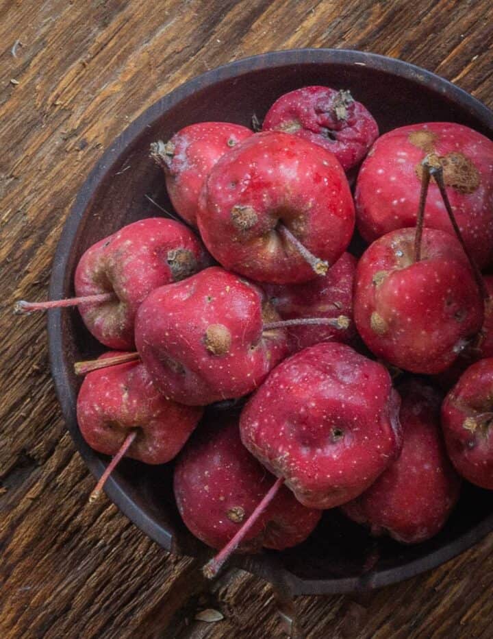Mulled Crab Apple Cider - Forager | Chef