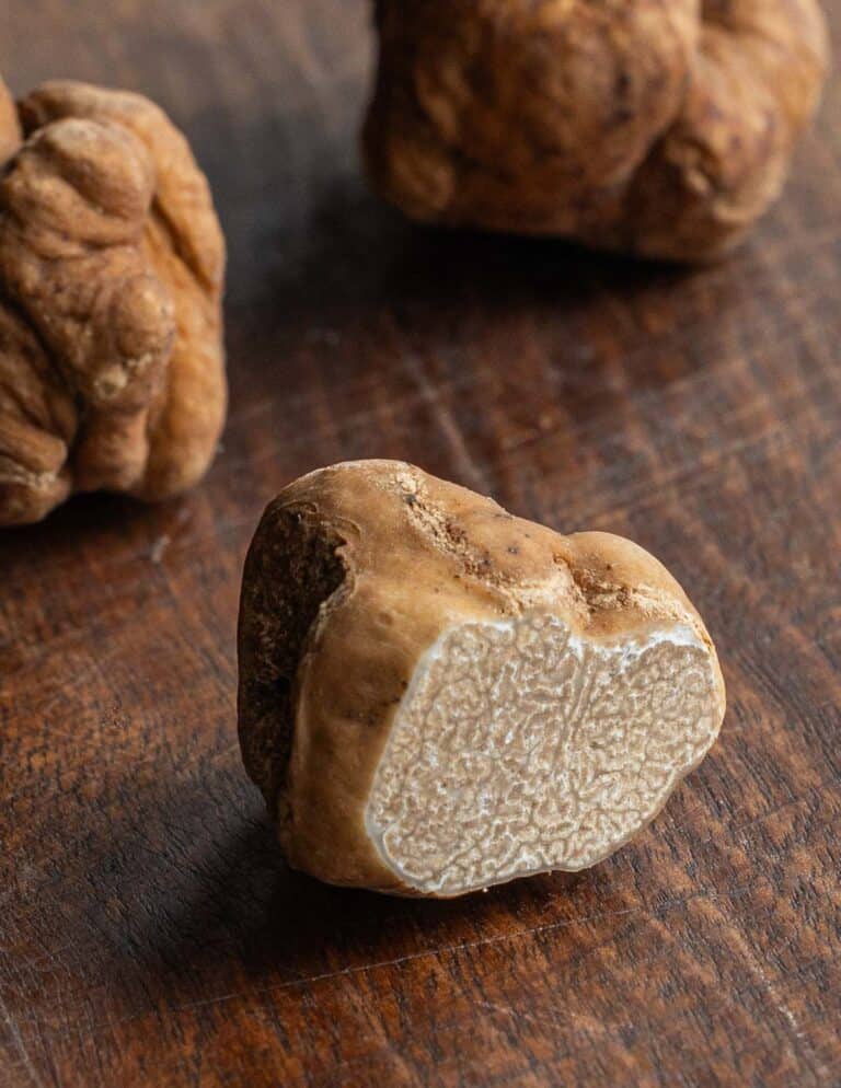 Pecan Truffles (Tuber lyonii)