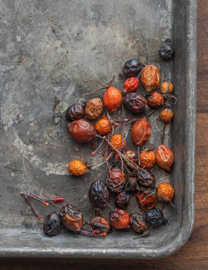 Honey Rosehip Syrup - Forager | Chef