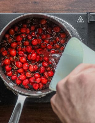 Honey Rosehip Syrup - Forager | Chef