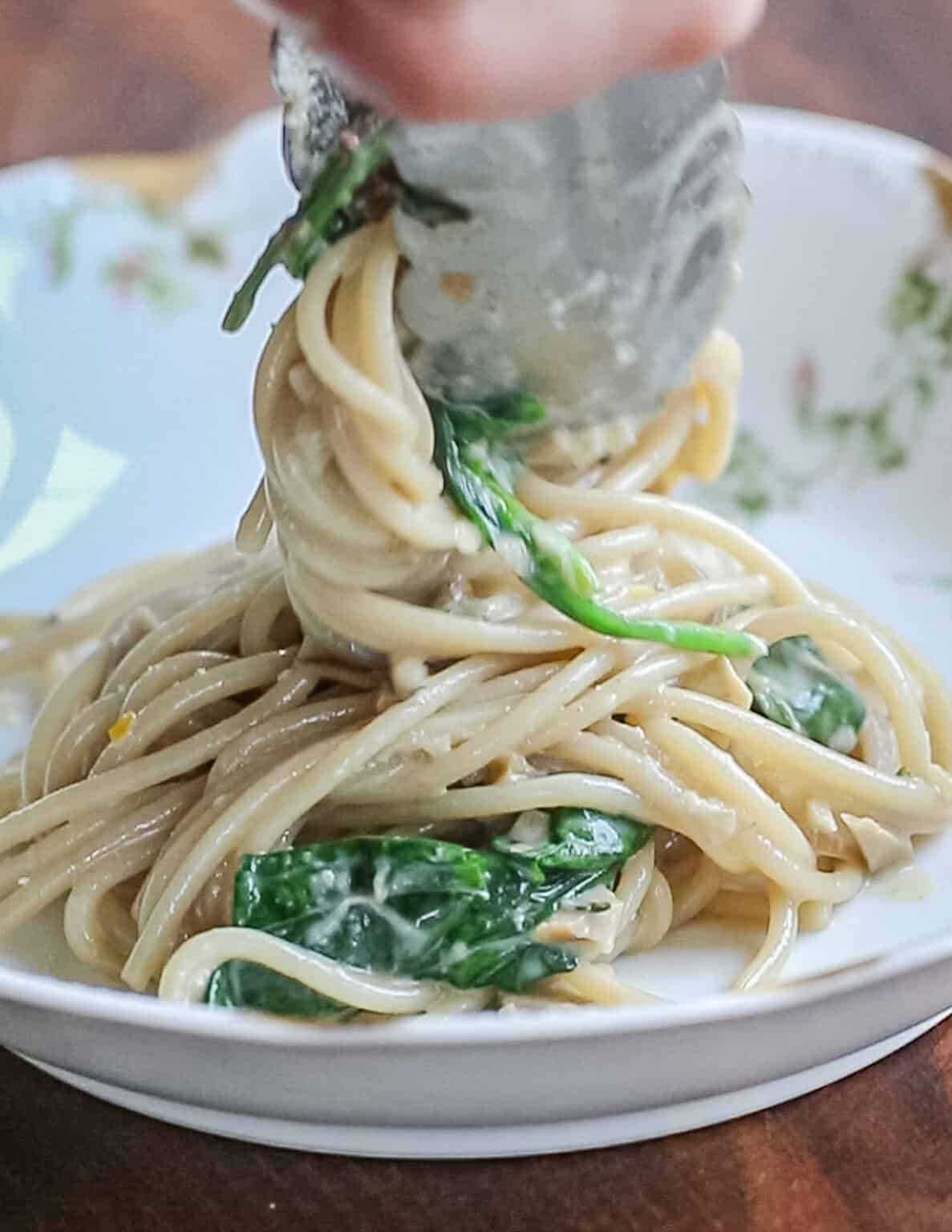 Dried Porcini Pasta - Forager | Chef