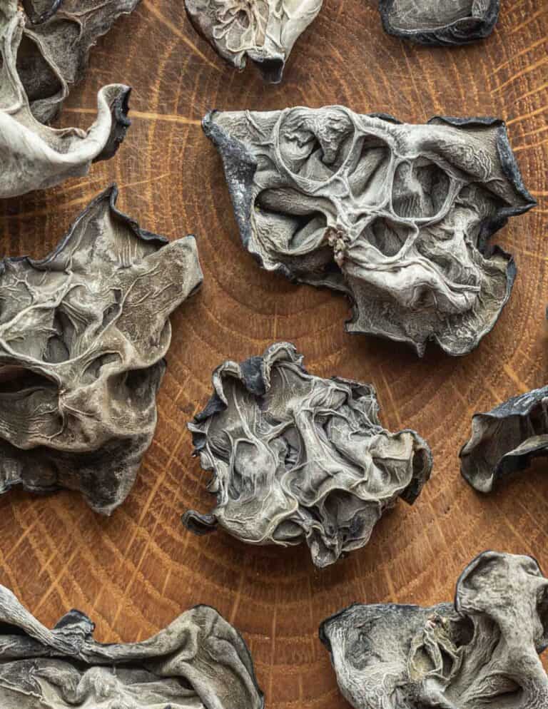 Kikurage / Wood Ear Mushroom
