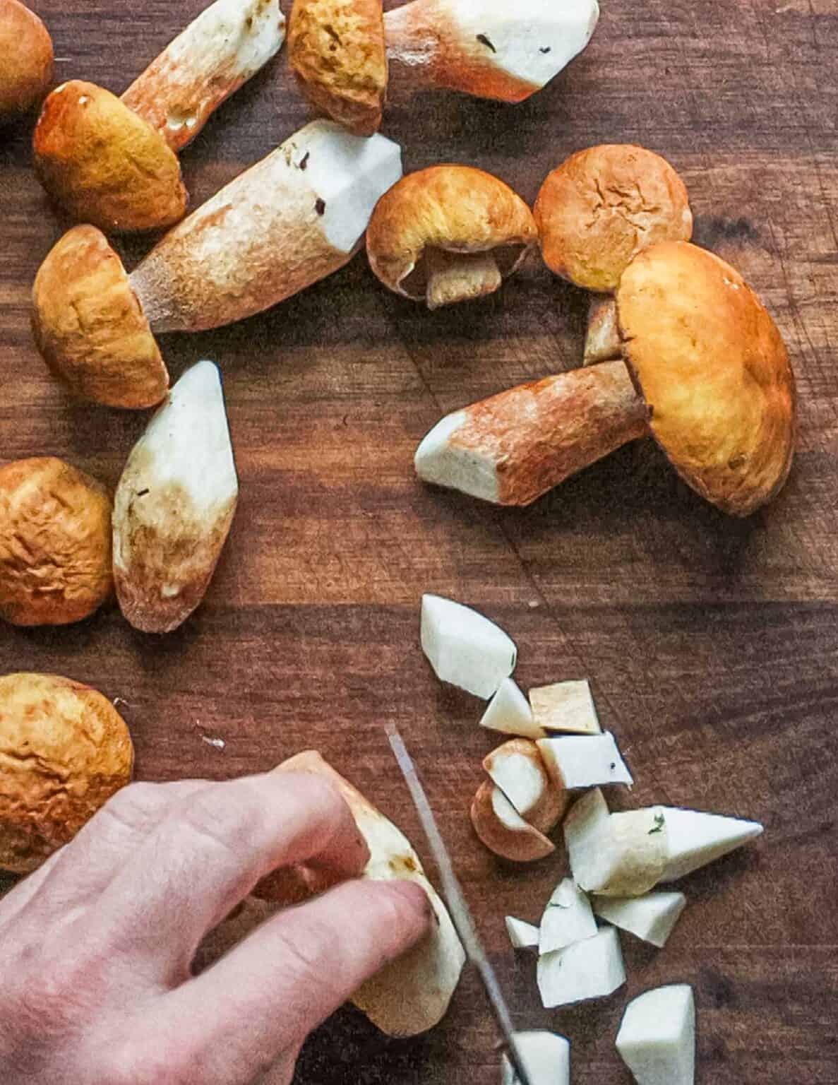 Classic Bolete Mushroom Julienne - Forager | Chef