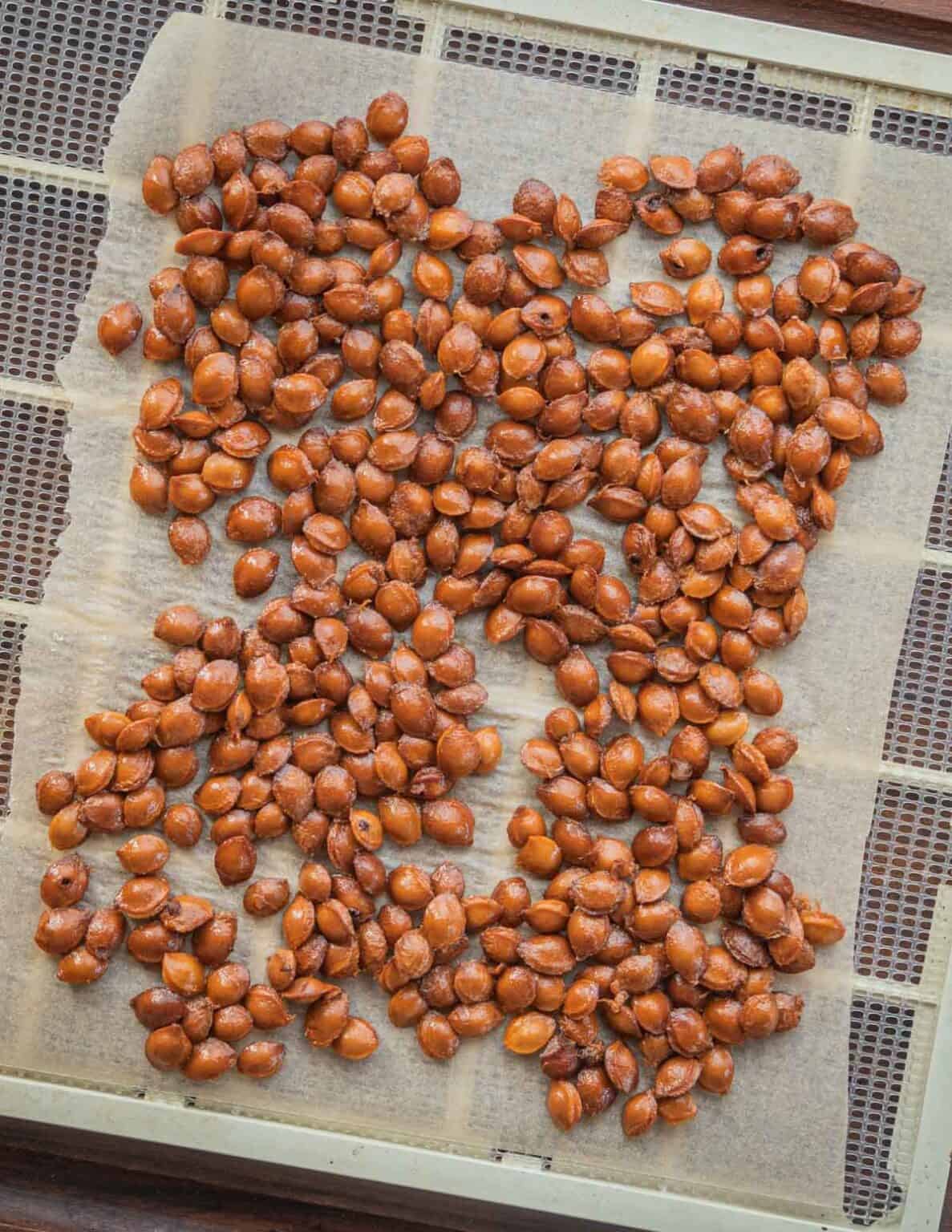 How to Make Homemade Almond Extract (Crème de Noyeaux) - Forager | Chef