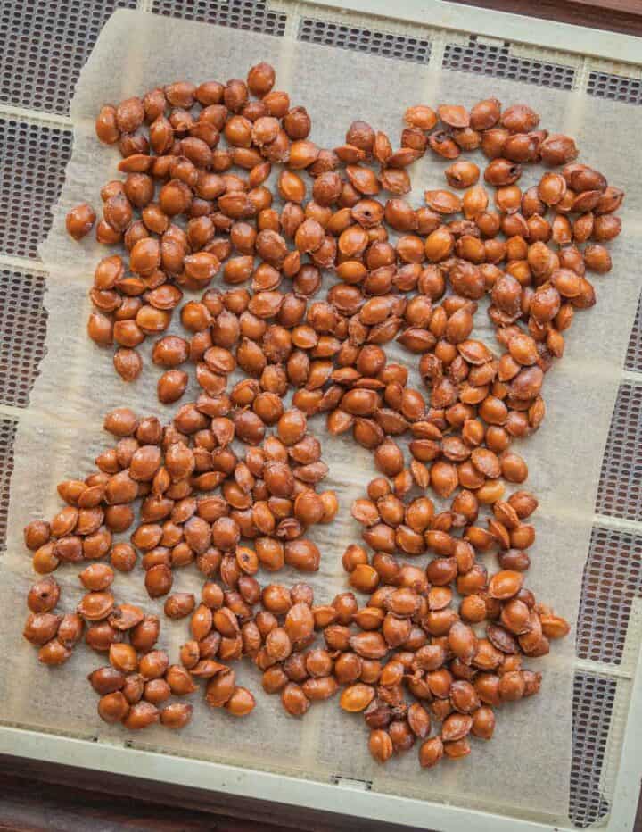 How to Make Homemade Almond Extract (Crème de Noyeaux) - Forager | Chef