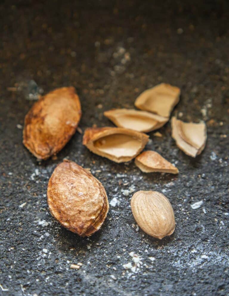 How to Make Homemade Almond Extract (Crème de Noyeaux) - Forager | Chef