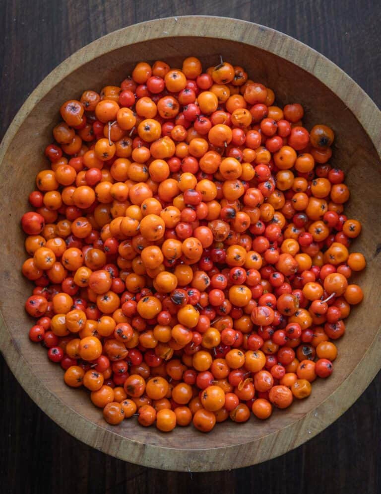Cooking With Rowan Berries