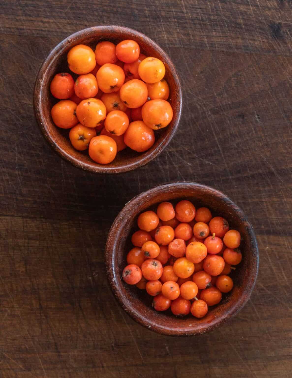 Cooking With Rowan Berries