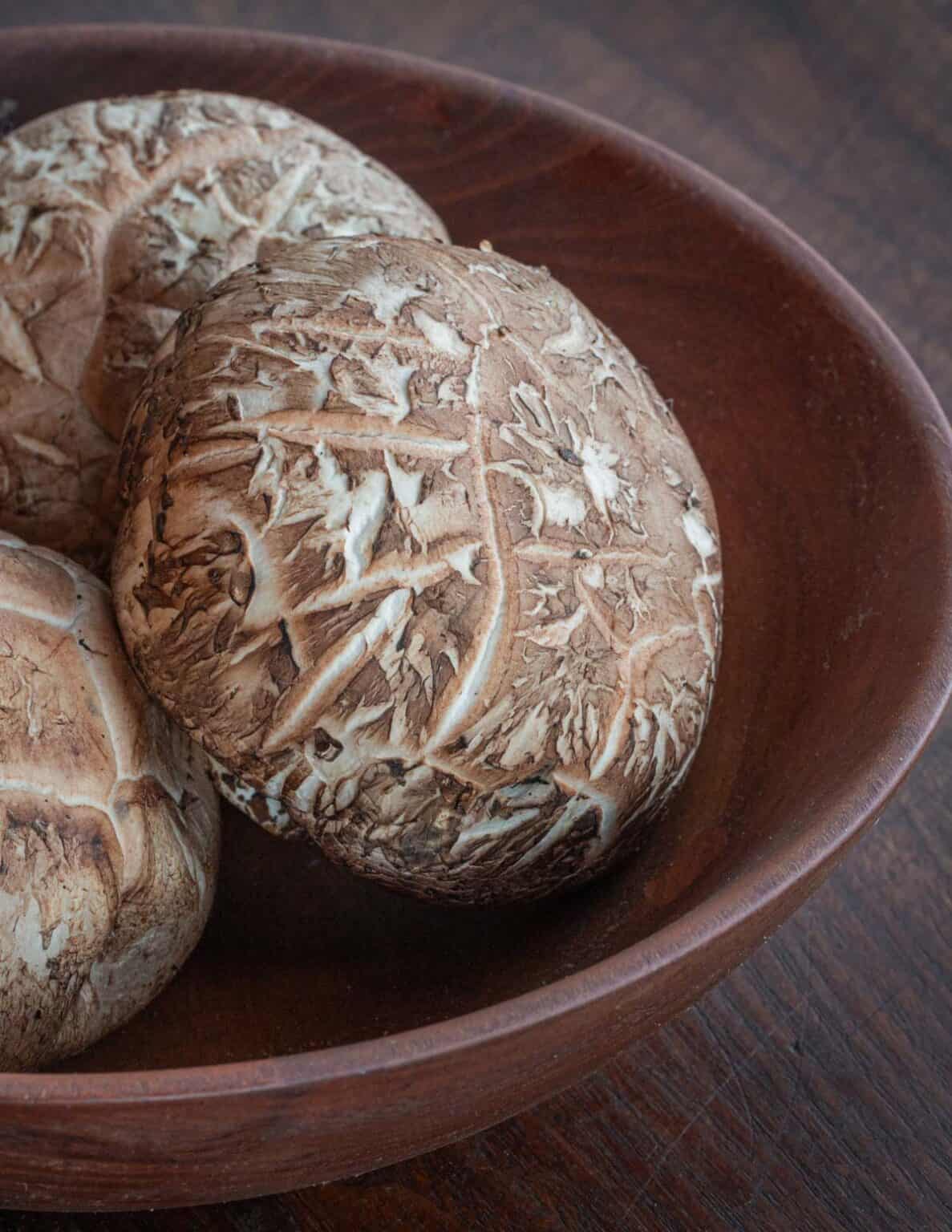 The Best Tasting Mushrooms (According to Professional Chefs) - Forager ...