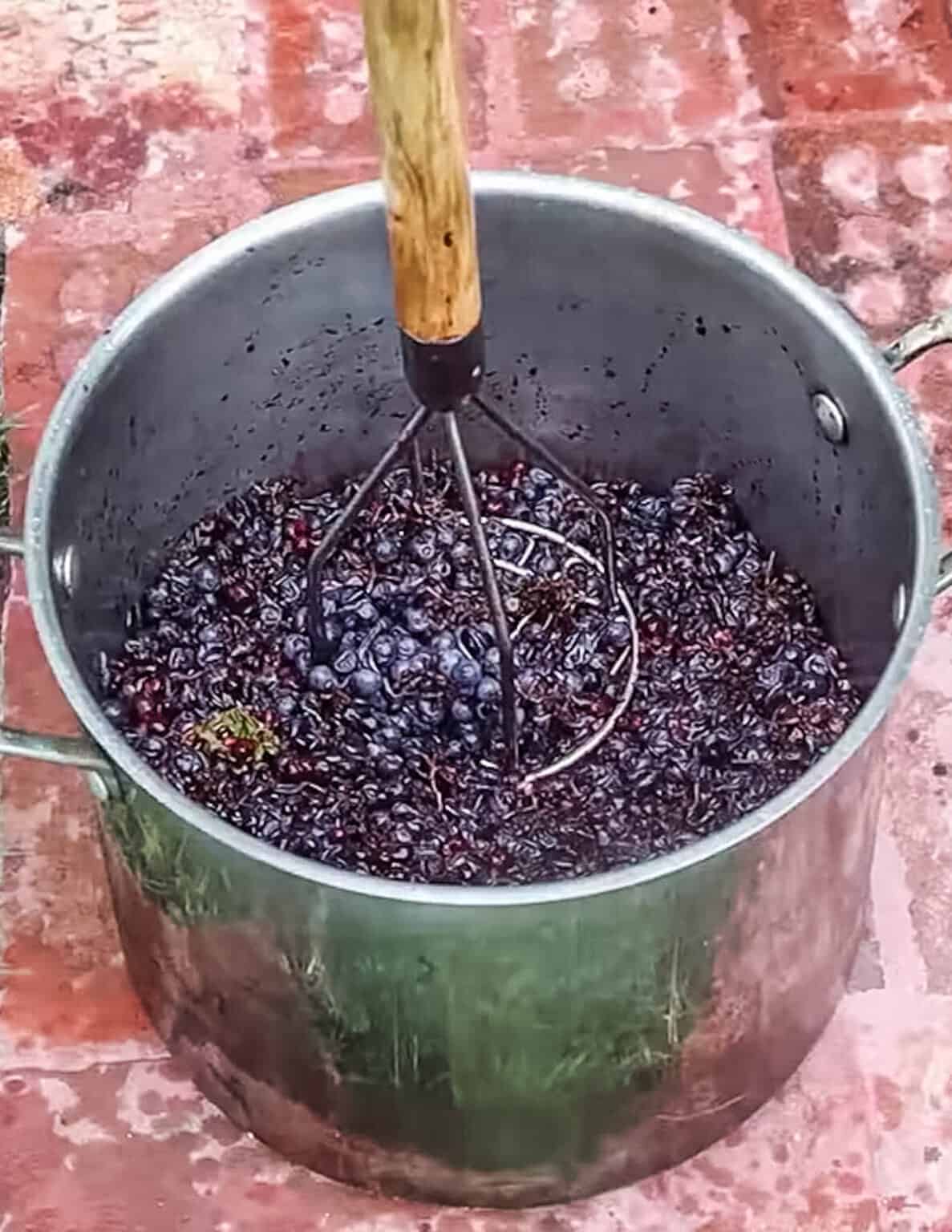 Classic Homemade Wild Grape Jelly