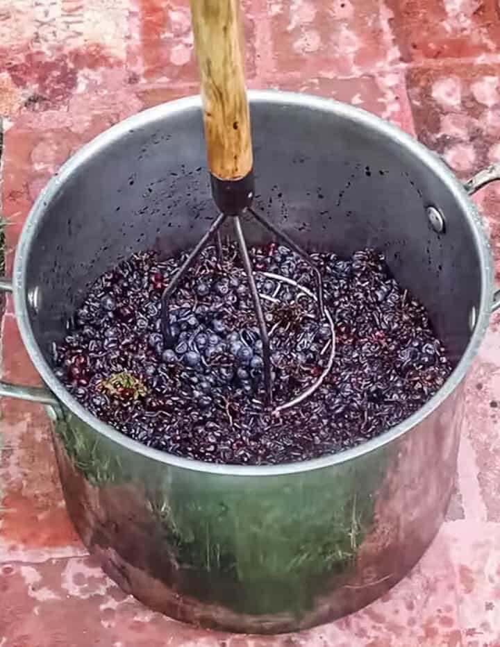 Classic Homemade Wild Grape Jelly