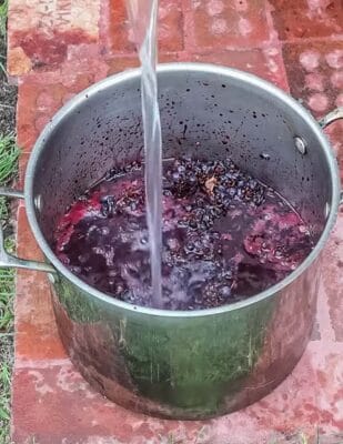 Classic Homemade Wild Grape Jelly
