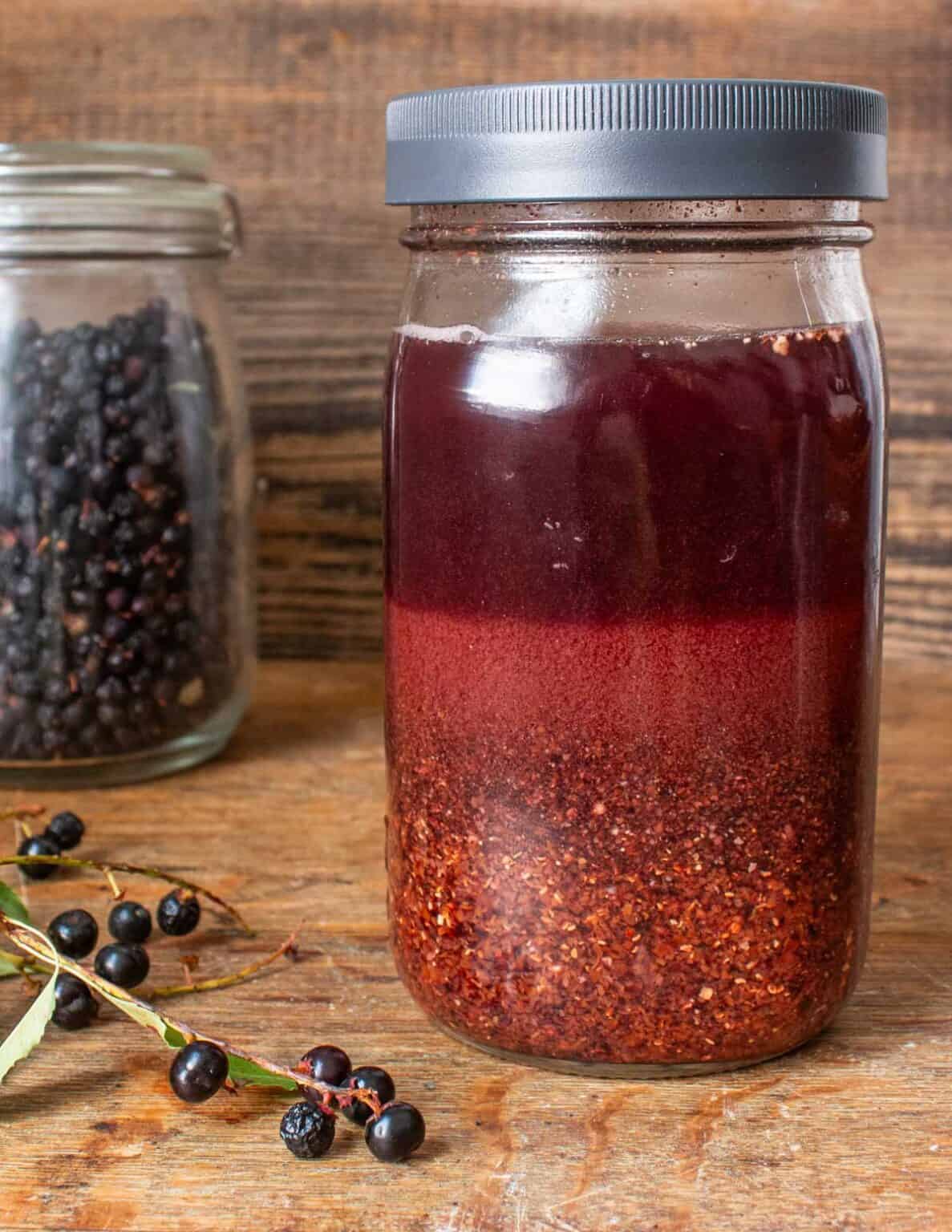 Homemade Chokecherry Pit Liqueur (Recipe) - Forager | Chef