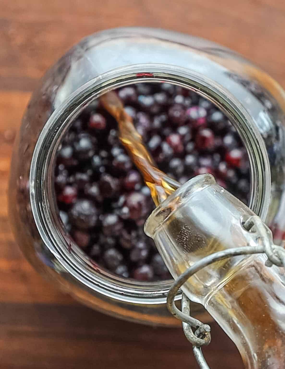 Homemade Blueberry Liqueur - Forager | Chef