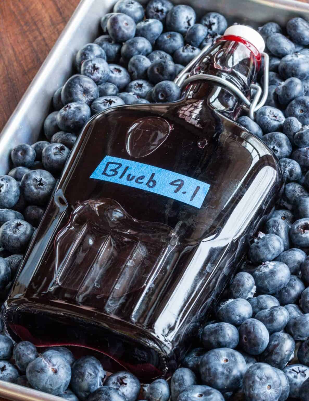 Homemade Blueberry Liqueur - Forager | Chef