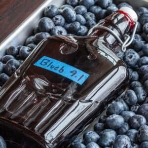 Homemade Blueberry Liqueur - Forager | Chef