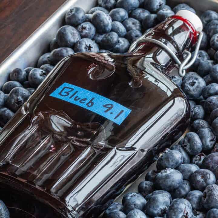 Homemade Blueberry Liqueur - Forager | Chef