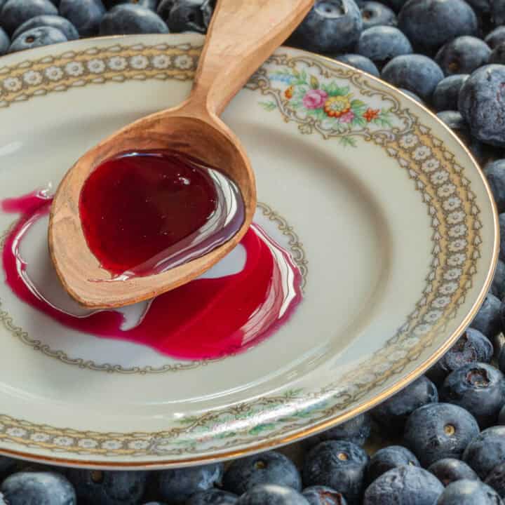Fermented Blueberry Syrup For Cocktails or Pancakes - Forager | Chef