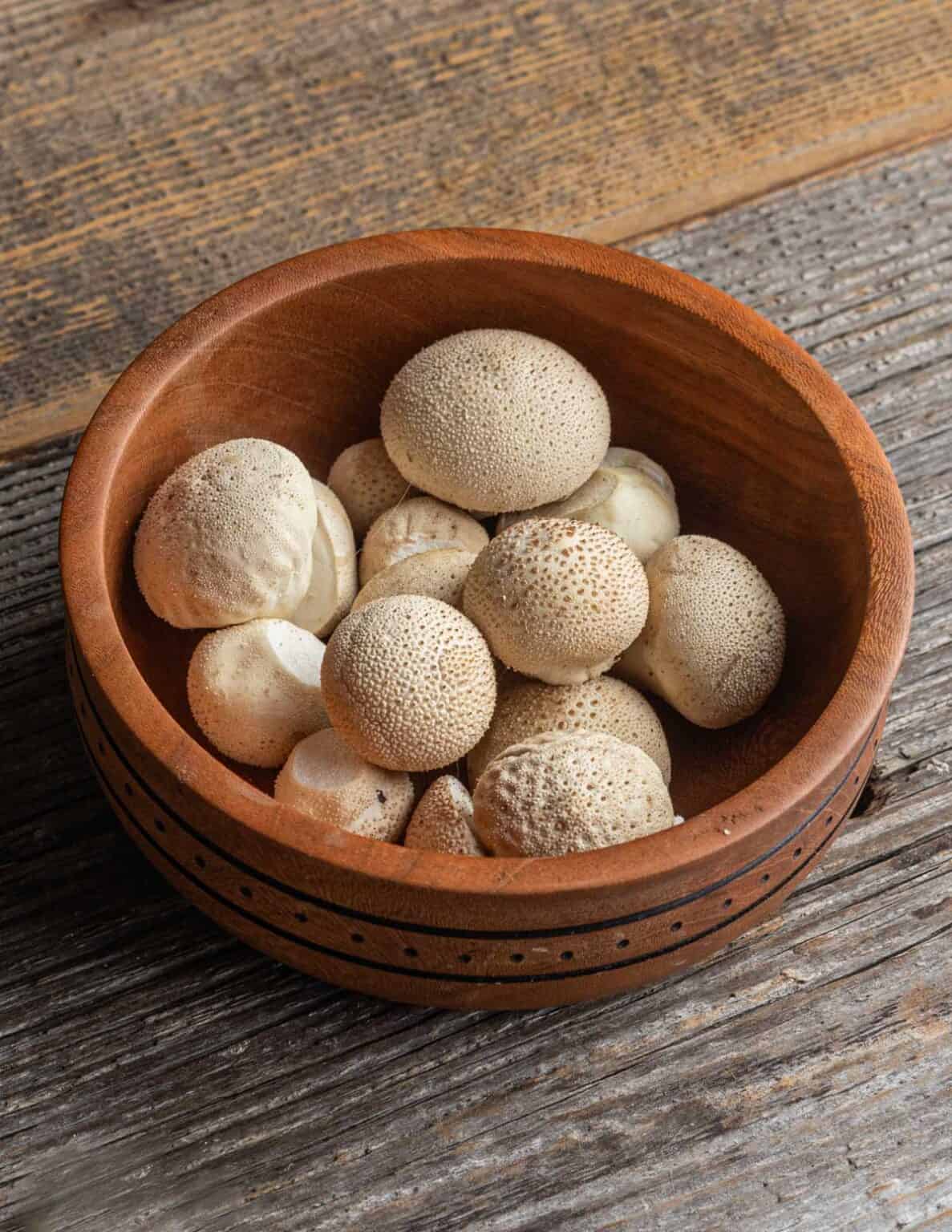 Mushroom Tempura - Forager | Chef