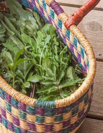 A Classic Horta Recipe: Greek Wild Greens with Olive Oil & Lemon