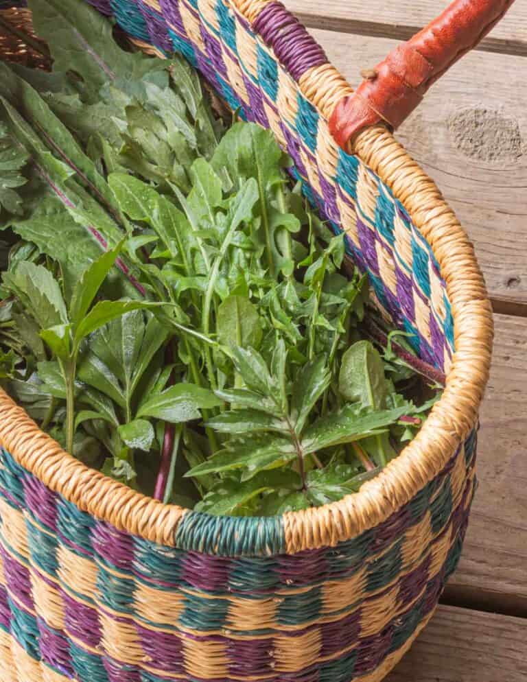 A Classic Horta Recipe: Greek Wild Greens with Olive Oil & Lemon