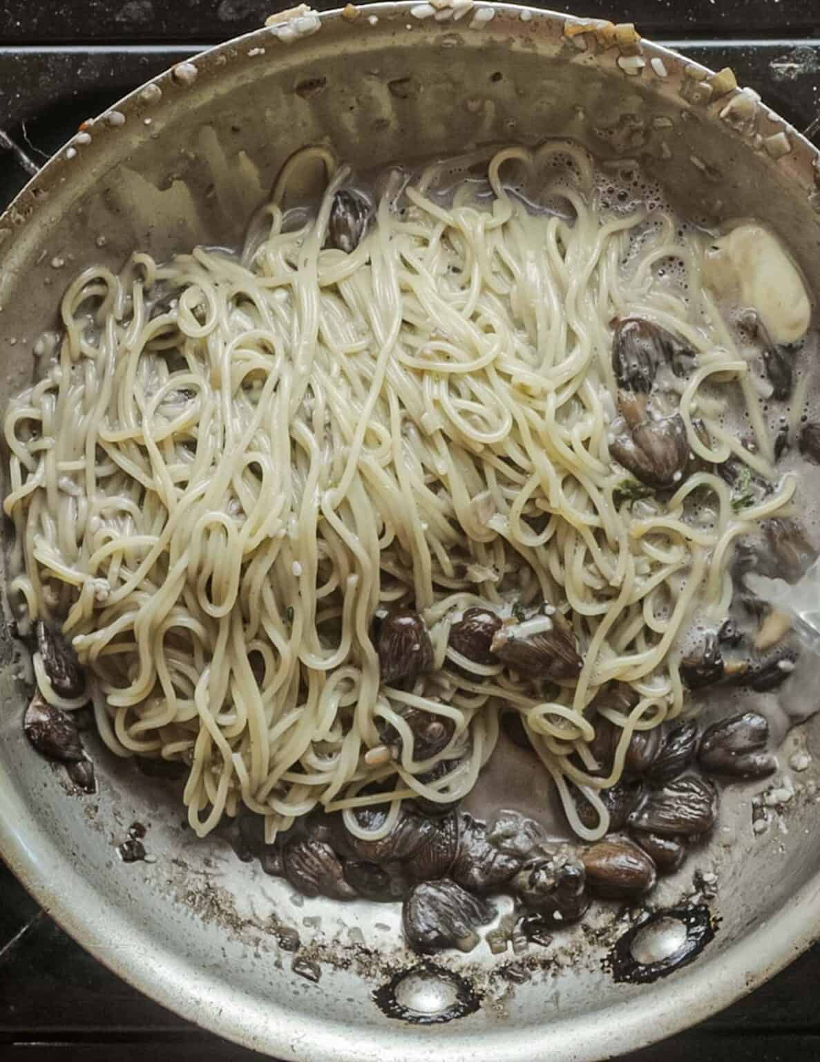 Mica Cap Mushroom Sauce - Forager | Chef