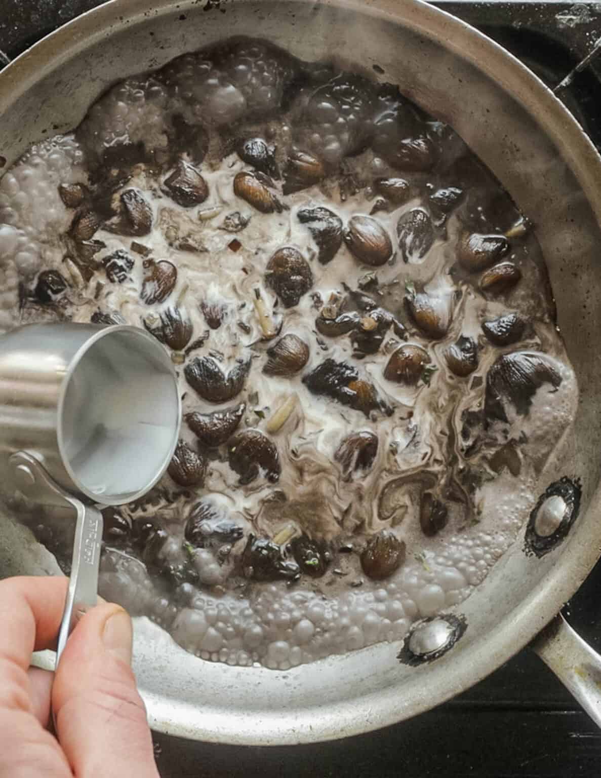 Mica Cap Mushroom Sauce - Forager | Chef