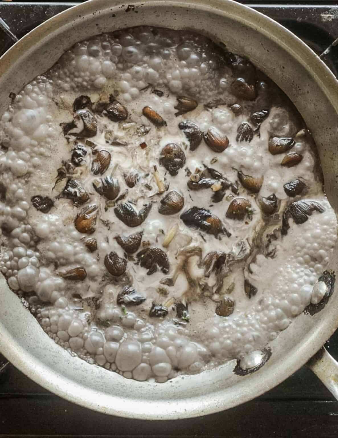 Mica Cap Mushroom Sauce - Forager | Chef