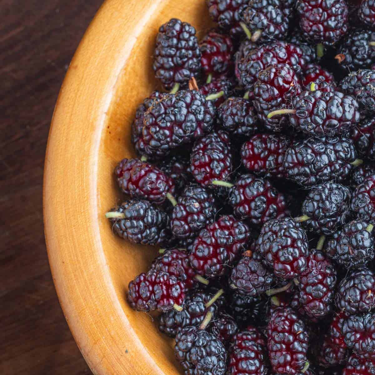 Mulberries Fruit Mulberries Fruit