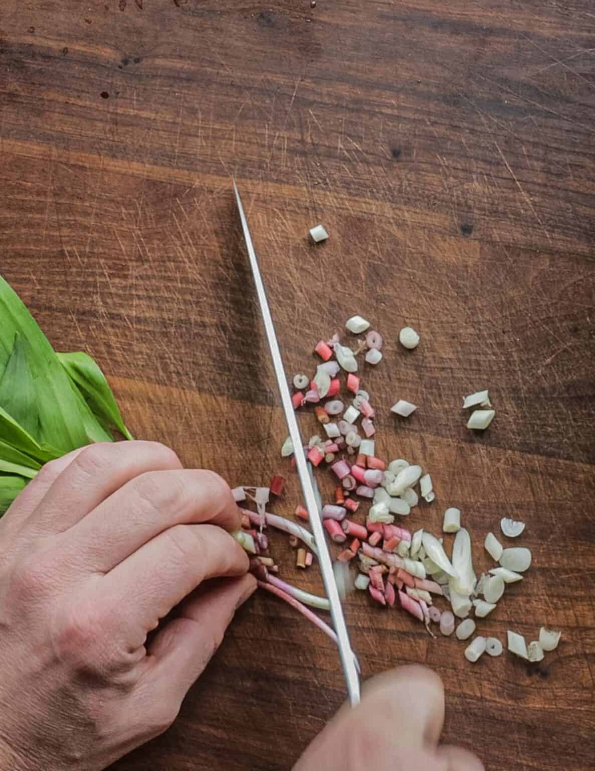 Ramp Dip - Forager | Chef